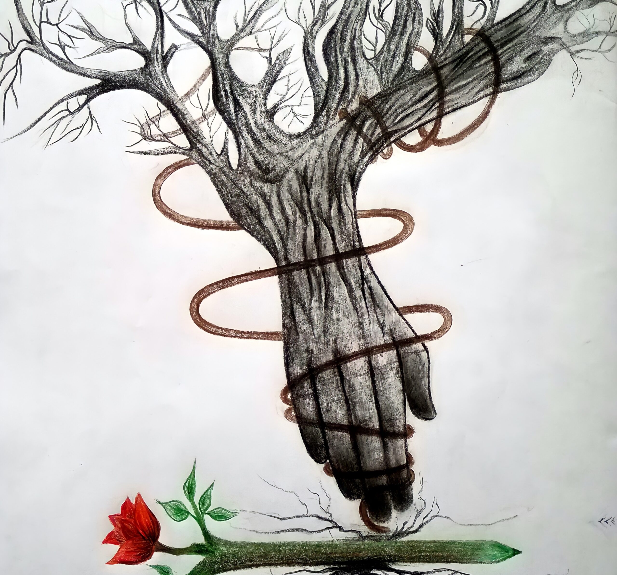 Sabira - the archipelago collective